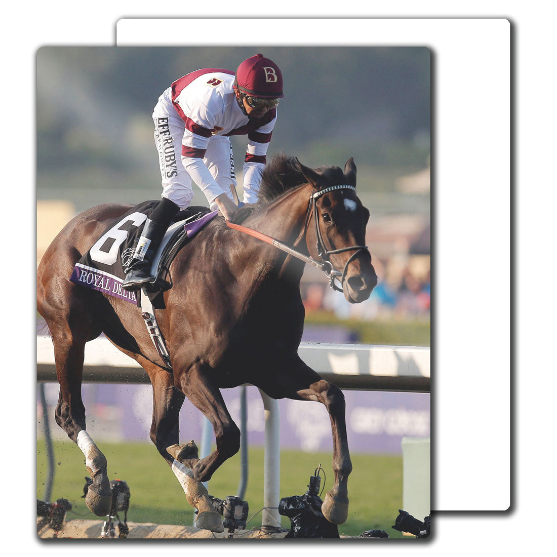 iLumipiX™ Sublimation HD Photo Panels - 16" x 20" - Pack of 10 | Joto ...